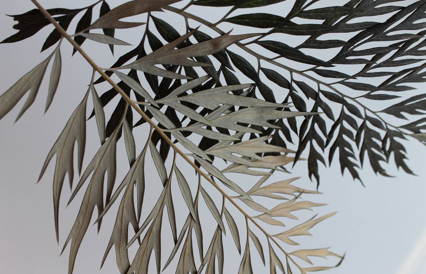 August Debouzy: Law Firm of the Year in France By “Le Monde du droit”